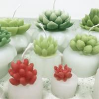 China Succulent Candle Molds Durable MHC Unique 3d Candles Small Succulent Mini Making Kit Cake Tools Type Moulds for sale