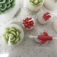 China Succulent Candle Molds Durable MHC Unique 3d Candles Small Succulent Mini Making Kit Cake Tools Type Moulds for sale