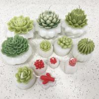 China Succulent Candle Molds Durable MHC Unique 3d Candles Small Succulent Mini Making Kit Cake Tools Type Moulds for sale