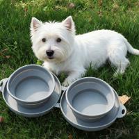 China Portable Silicone Collapsible Dog Bowl Double Folding Pet Travel Bowls with Non-slip Mat Food Water Bowl for Outdoor Hiking for sale