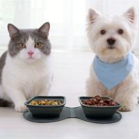 China Convenient Foldable Double-layer Silicone Pet Bowl Portable Food Bowl for Cats Dogs Suitable for Outdoor Hiking Food Grade for sale