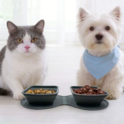 China Convenient Foldable Double-layer Silicone Pet Bowl Portable Food Bowl for Cats Dogs Suitable for Outdoor Hiking Food Grade for sale