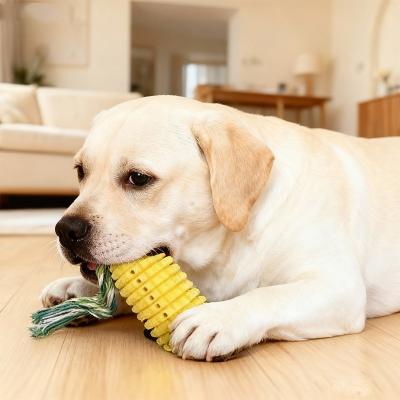 China Dog Chew Toys for Aggressive Chewers, Indestructible Tough Durable Squeaky Interactive Dog Toys for sale