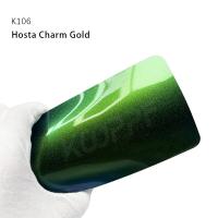 China Green Color TPU PPF Car Color Changing Film Paint Wrap For Car Body Wrap for sale