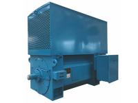 China High Efficient High Voltage Electric Motor 6KV And 10KV  Energy Saving for sale