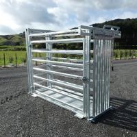 China Customized Galvanized Steel Heave Duty Cattle Crush Easy Assembly for sale