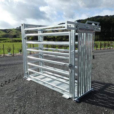 China Customized Galvanized Steel Heave Duty Cattle Crush Easy Assembly for sale