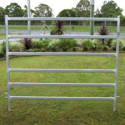 China Farm1.8m Square Tube Cattle Panel Fence Galvanized Customized for sale