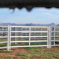 China Length 2.1m Heavy Duty Sheep Livestock Panels Round Tube Square Tube Oval Tube for sale
