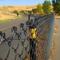 China School Playgrounds Dark Green Galvanized Chain Link Fence 50x50mm 30m Length for sale