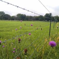 China Reliable Quality Barbed Wire Chain Link Fence Galvanized Surface Treatment for sale