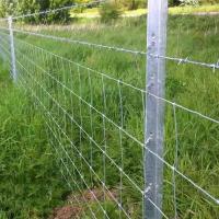 China Heavy Galvanized Sheep Wire Mesh Fence Thick Wire Diameter Hinge Joint Sheep & Goat Fence for sale