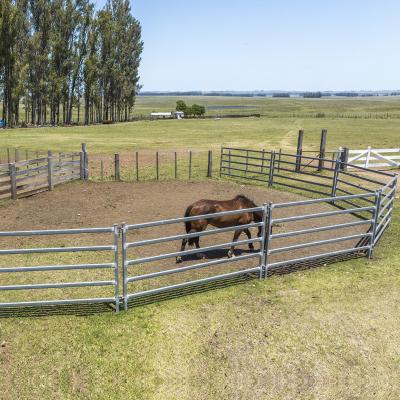 China Hot Dipped Galvanized 12 Ft Portable Fence Panels For Horses Heavy Duty Farm Panel for sale