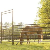 China Eco Friendly Galvanized Horse Panels For Livestock 6 Foot Tall Horse Panels for sale