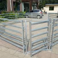 China 6ft Flat Bar Ranch Equipment Farm Cattle Metal Fence Panels Pasture Livestock for sale