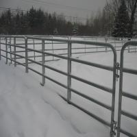 China 3.0m Length Round Tube Animal Fencing Galvanized Or Color Coated for sale