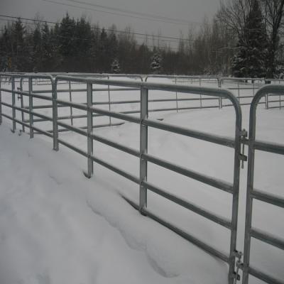 China 3.0m Length Round Tube Animal Fencing Galvanized Or Color Coated for sale