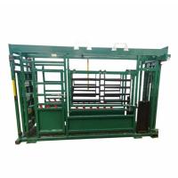 China Heavy Duty Automatic Manual Cattle Crush With Weighing Scale for sale