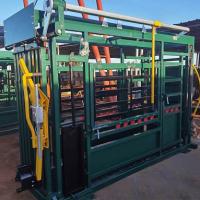 China Heavy Duty Automatic Manual Cattle Crush With Weighing Scale for sale