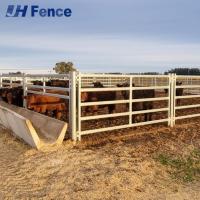 China Farm-Proven Cattle Panel: Professional-Grade Steel with Protective Coating for Lifetime Durability & Safe Animal Containment for sale