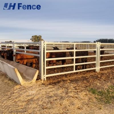 China Farm-Proven Cattle Panel: Professional-Grade Steel with Protective Coating for Lifetime Durability & Safe Animal Containment for sale