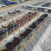 China Secure-Hold Cattle Panel: Rigid One-Piece Construction Prevents Bending for Uncompromised Livestock Security for sale