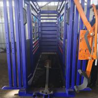 China Portable Cattle Crush With Sliding Gate Head Bale Weighing Scale for sale
