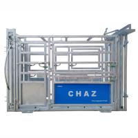 China Galvanized Steel Cattle Crushes Providing Long Lasting Corrosion Resistance and Robust Performance for Livestock Handling for sale