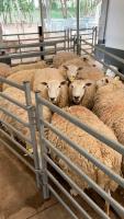 China High Quality Galvanized Sheep Panels Sheep Fence Panels Waterproof Heavy Duty Rural Fencing for sale