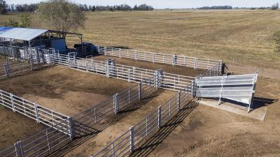 China Hot Dipped Galvanized Livestock Sheep Fence Panel 12 Foot Australia Standard for sale
