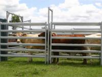 China Corrosion Resistant Livestock Panel Fence Galvanized Steel Panels Providing Long Term Protection and Stability for Farms for sale