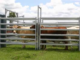 China Corrosion Resistant Livestock Panel Fence Galvanized Steel Panels Providing Long Term Protection and Stability for Farms for sale