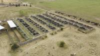 China Portable Livestock Panel Fence Easy to Install Modular Panels Suitable for Temporary or Permanent Animal Enclosures for sale