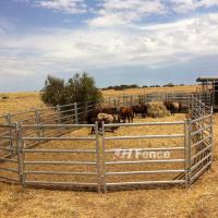 China Rust Resistant Livestock Panel Fence Offering Long Lasting Protection and Stability for Agricultural Livestock Areas for sale