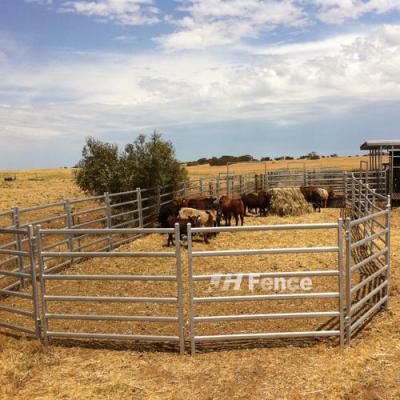 China Rust Resistant Livestock Panel Fence Offering Long Lasting Protection and Stability for Agricultural Livestock Areas for sale