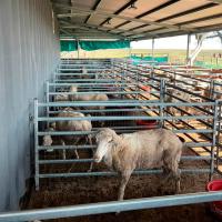 China Strong Durable Galvanized Steel Sheep Enclosure Panel Heavy Duty Corrosion Resistant Fence for Livestock Containment for sale