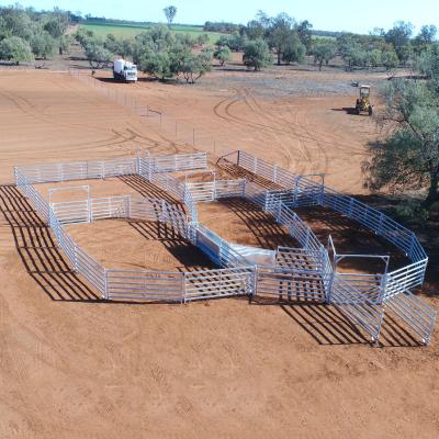 China Rust Resistant Sheep Panel Fence Featuring Welded Wire Mesh and Sturdy Frame Perfect for Outdoor Livestock Management for sale