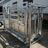 China Adjustable Heavy Duty Cattle Crushes Suitable for Different Cattle Breeds and Sizes Enhancing Handling Efficiency for sale