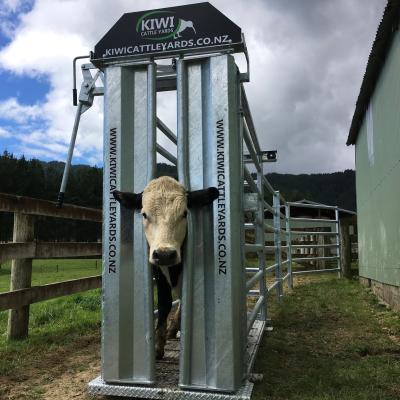 China Electric Powered Animal Hoof Crusher Providing Consistent Livestock Hoof Crushing and User Friendly Handling for sale