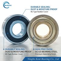 China 6203-RS Deep Groove Ball Bearing P6 Precision Z3V3 Low Noise Waterproof Bearing for Automotive Alternators for sale