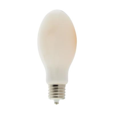 China ED75 20W LED Filament Bulb For Indoor Lighting With High Brightness And Energy Efficiency for sale