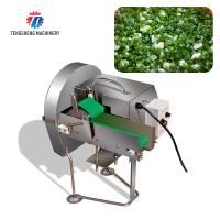 China SS304 Vegetable Processing Machine Mini Electric Tabletop Onion Slicer Food Processor for sale