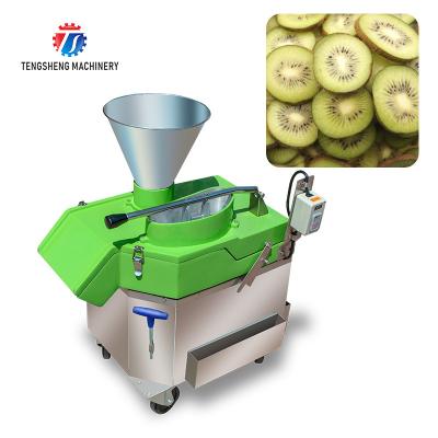 China 1000KG/H 80KG Vertical multi-function vegetable slicer balanced onion slicer Orange circular slicer high yield for sale