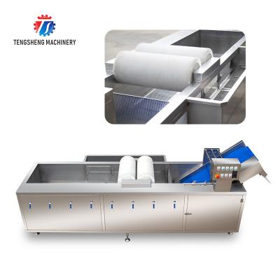 China 250KG Fruit and vegetable washing machine automatic sterilization washing machine fruit and vegetable processing for sale