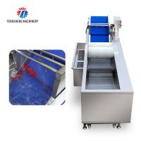 China 250KG The manufacturer provides a reversible air dryer for fruit ozone disinfection and fruit washing machine for sale