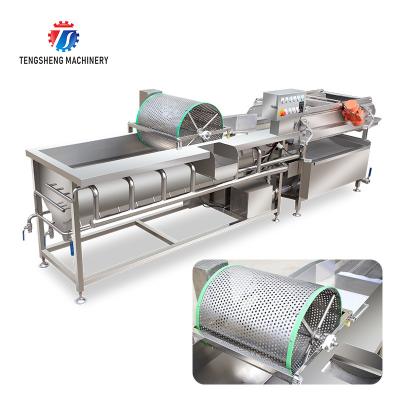 China 1000KG/H Automatic eddy current washing machine Fruit and vegetable vortex bubble cleaning vibration drainer for sale