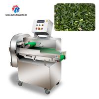 China 180KG Vegetable and melon slicing and slicing machine One machine multi-purpose automatic chopping machine for sale