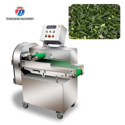 China 180KG Vegetable and melon slicing and slicing machine One machine multi-purpose automatic chopping machine for sale