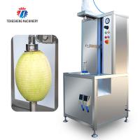 China 1.0KW 120KG Commercial stainless steel automatic pumpkin wax gourd pineapple peeling machine single knife peeling machin for sale