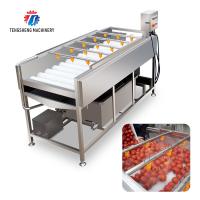 China 2.5KW Rhizome large parallel roller cleaning machine tomato potato sweet potato cleaning high pressure spray for sale